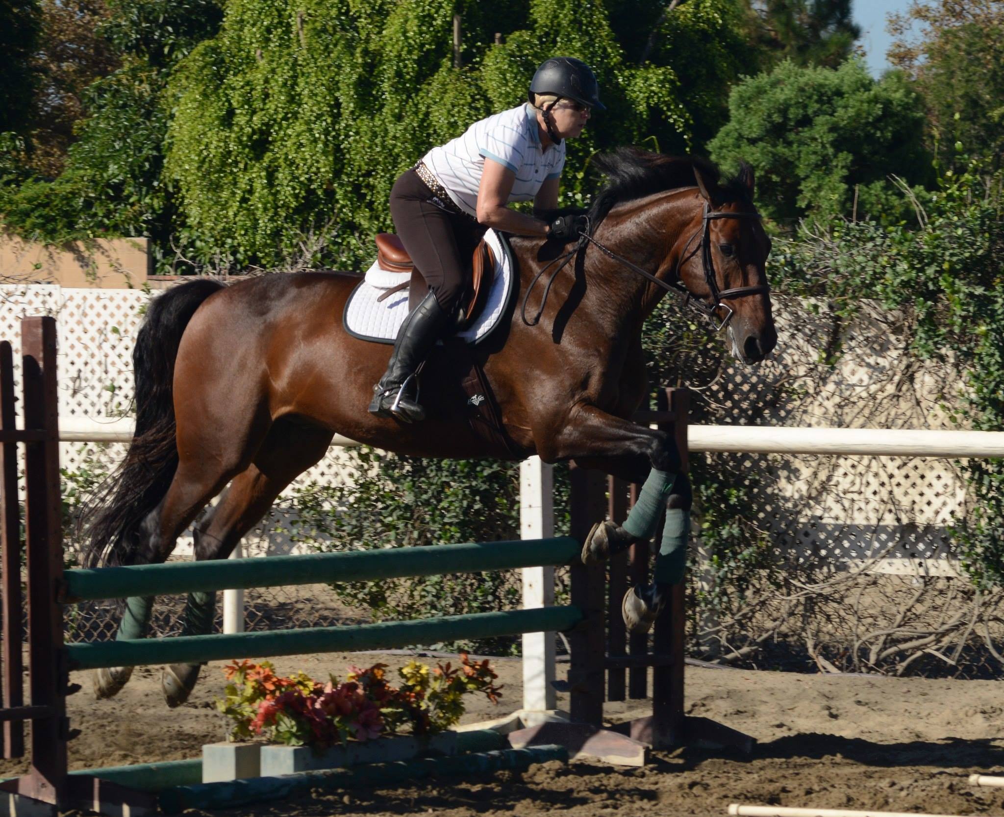 First Field Farm | Full Service Training | Cerritos, CA