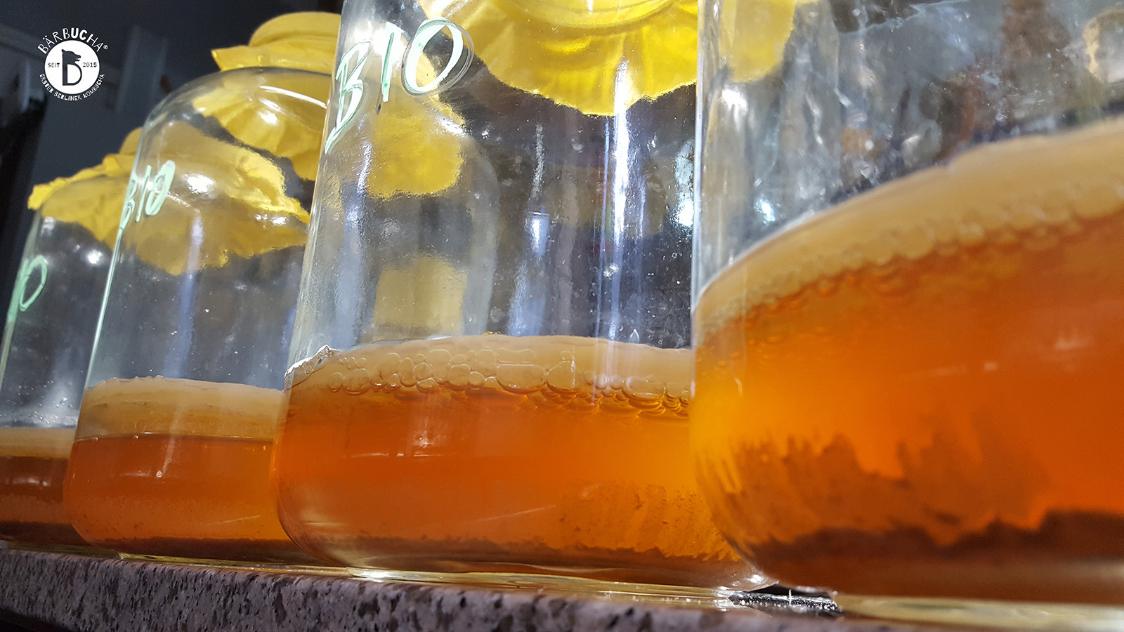 Kombucha Workshop - Berlin