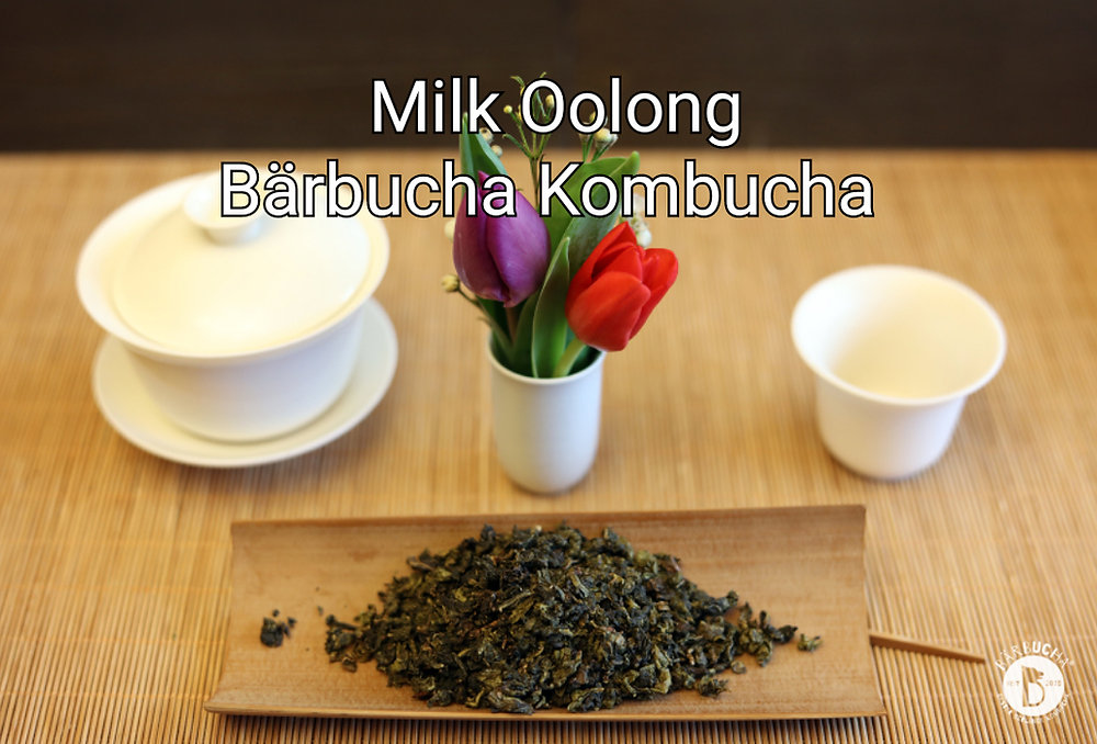 Milk Oolong Bärbucha Kombucha
