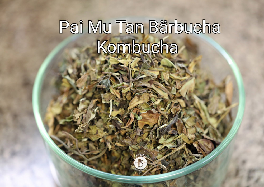 Pai Mu Tan Bärbucha Kombucha