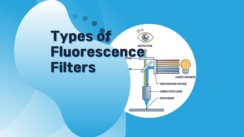 Types of Fluorescence Filters | NanoEntek Blog