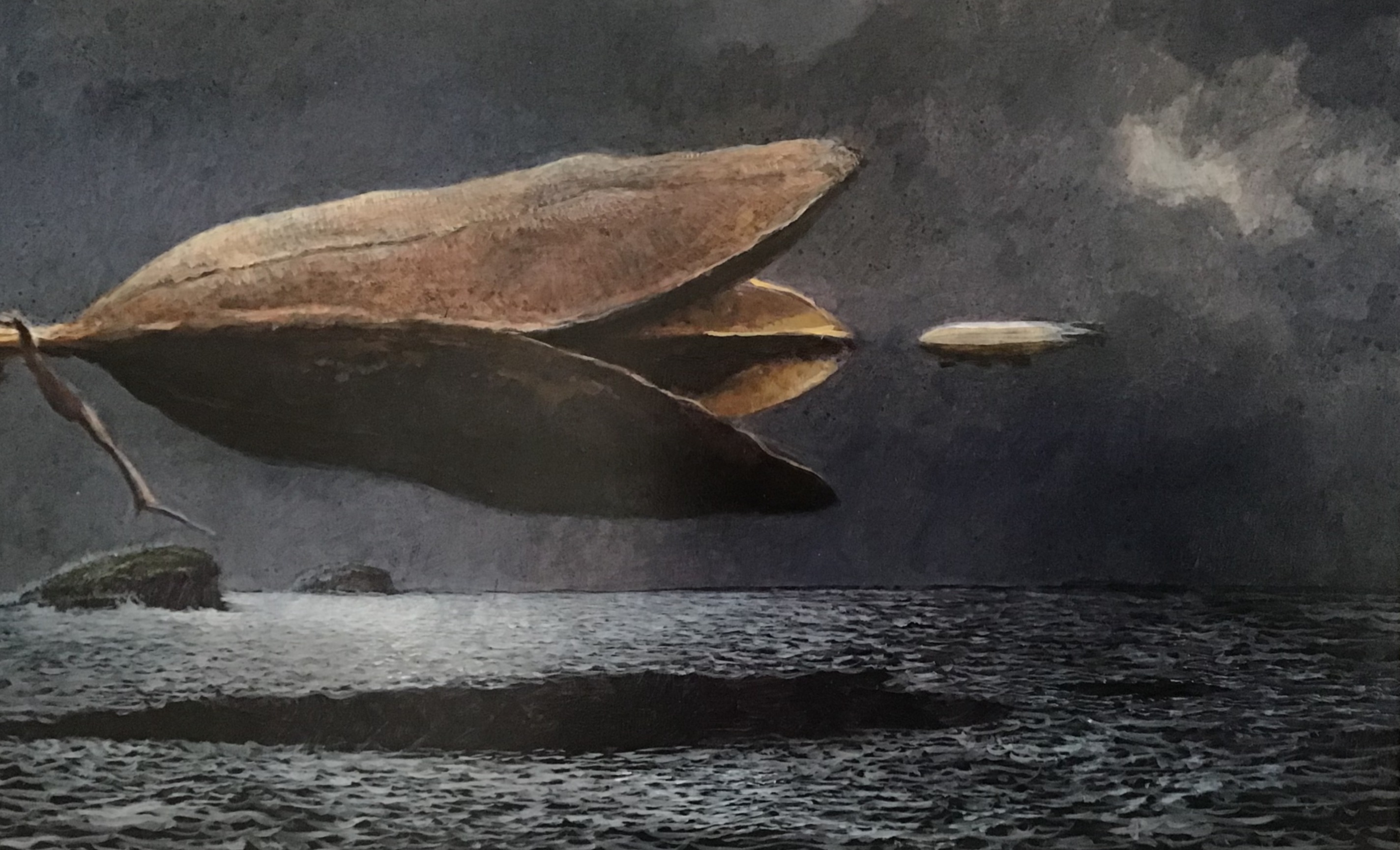 Kevin Hawkes | Portland Maine| Kevin Hawkes Author and Illustrator