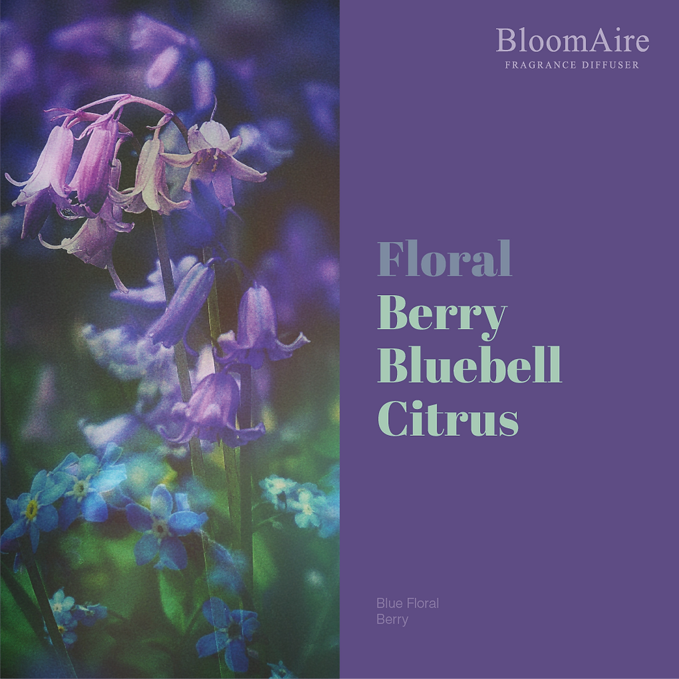 Home | Bloomaire The Best of Home Fragrance Indonesia