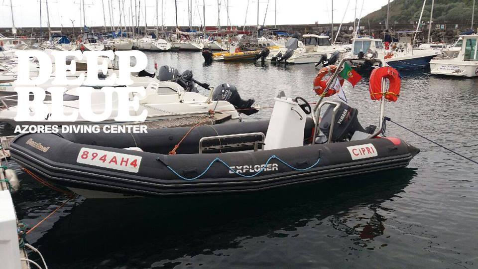 About Us | DEEP BLUE Azores Diving Center
