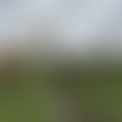 Ditch Doctor excavator attachment | Ditch Doctor | Nova Scotia