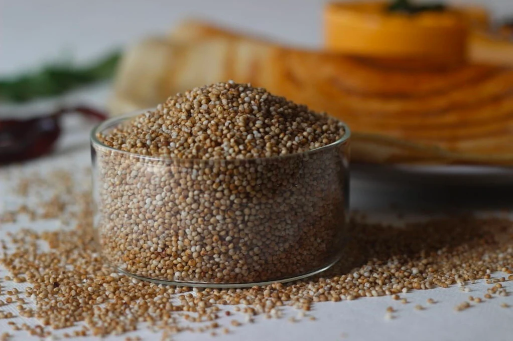 Discovering the Hidden Treasure Kodo Millets and Their Health Benefits