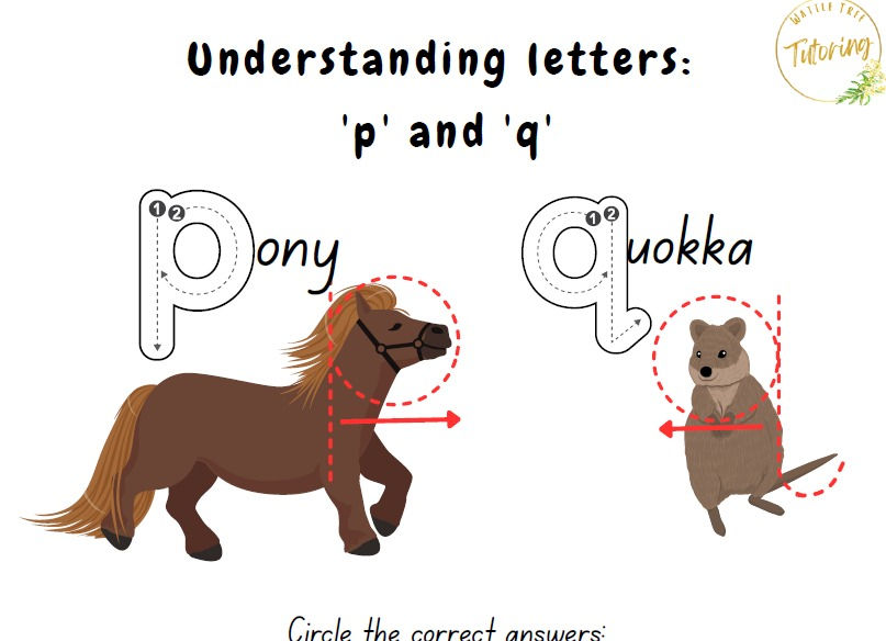 Understanding Letters: 'p' and 'q' | Wattle Tree Tutoring