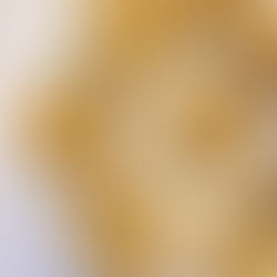 Laetitia Happy Family