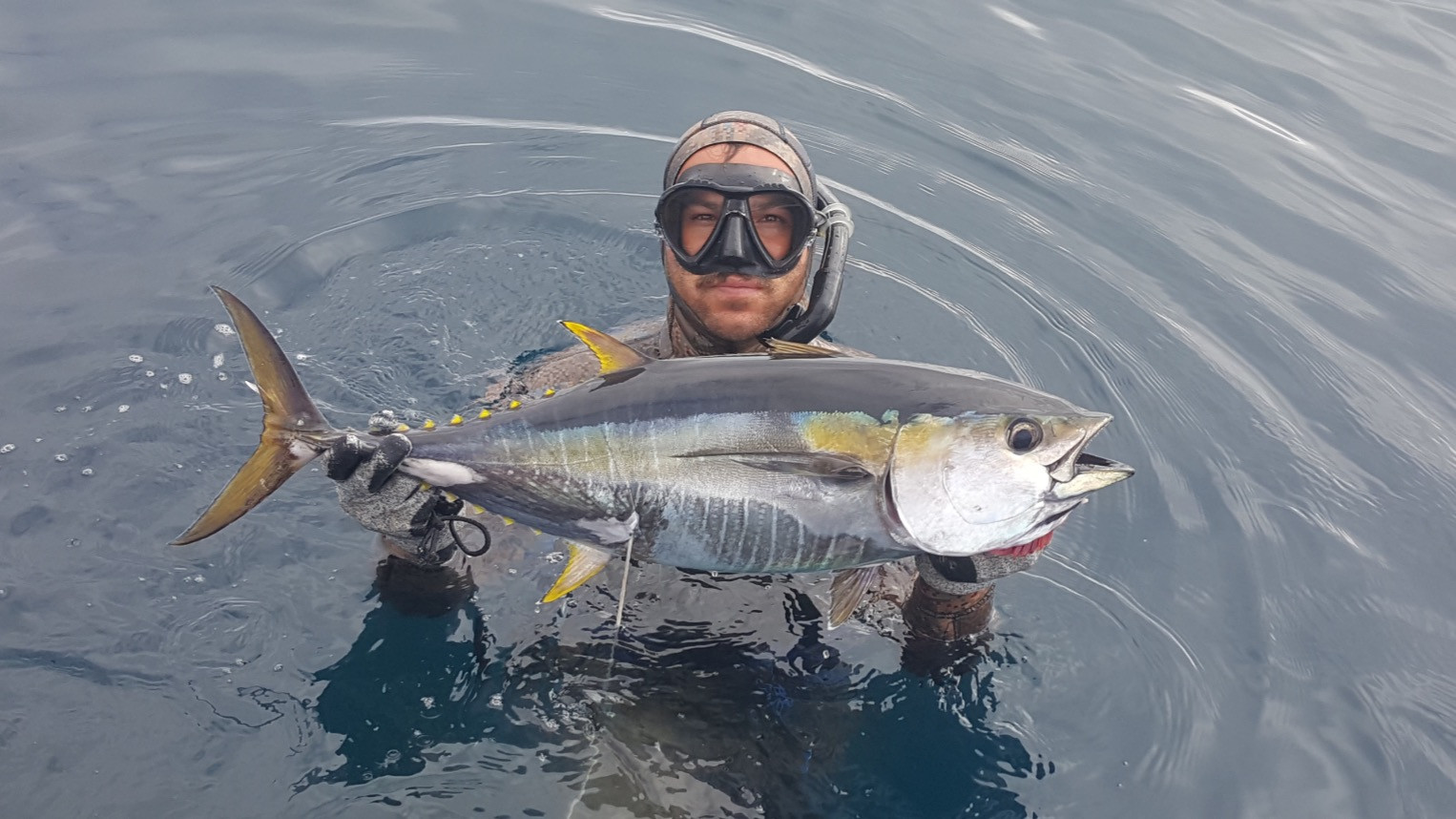 How to Hunt Yellowfin Tuna | Spearfishing Guide