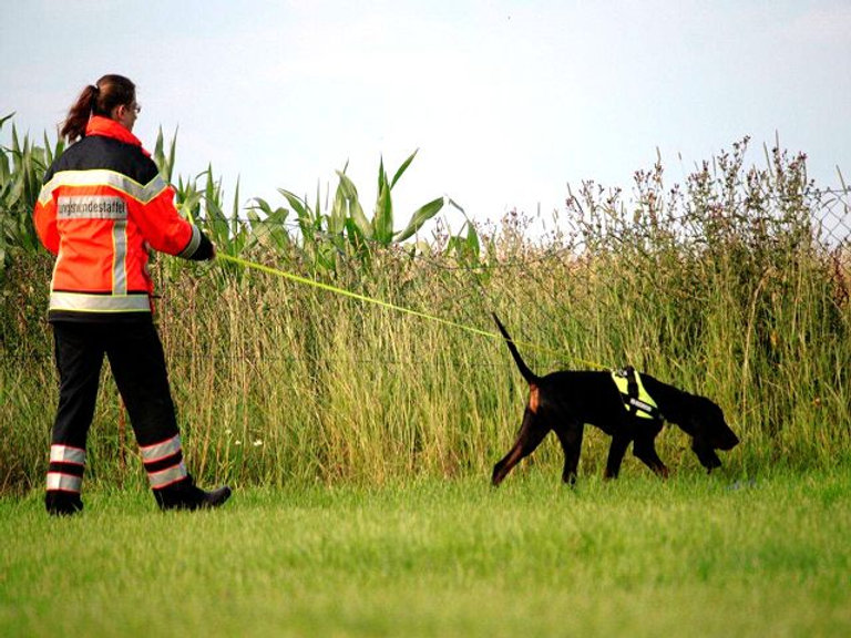 Quem pode praticar Mantrailing?