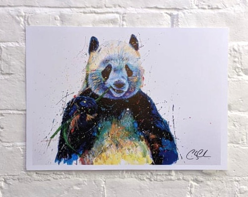 Pamela the Panda | Chris William Art