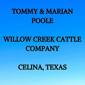 ASPC Congress | shetlandminiature