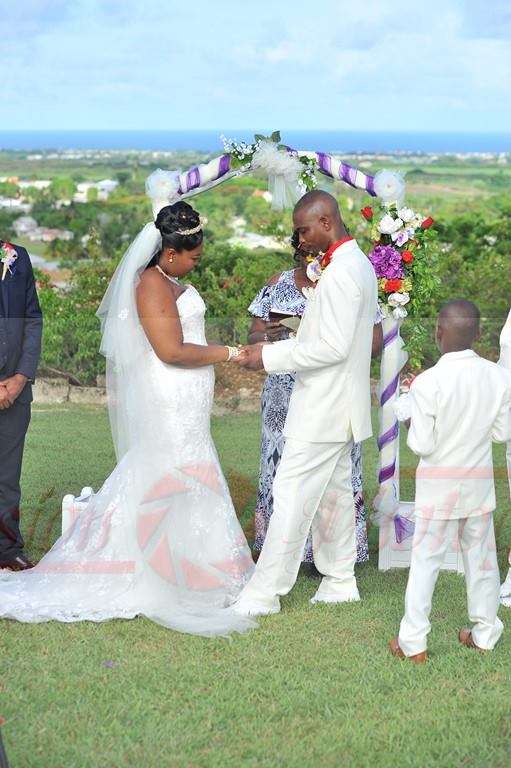 Gallery | Crystal View Estate