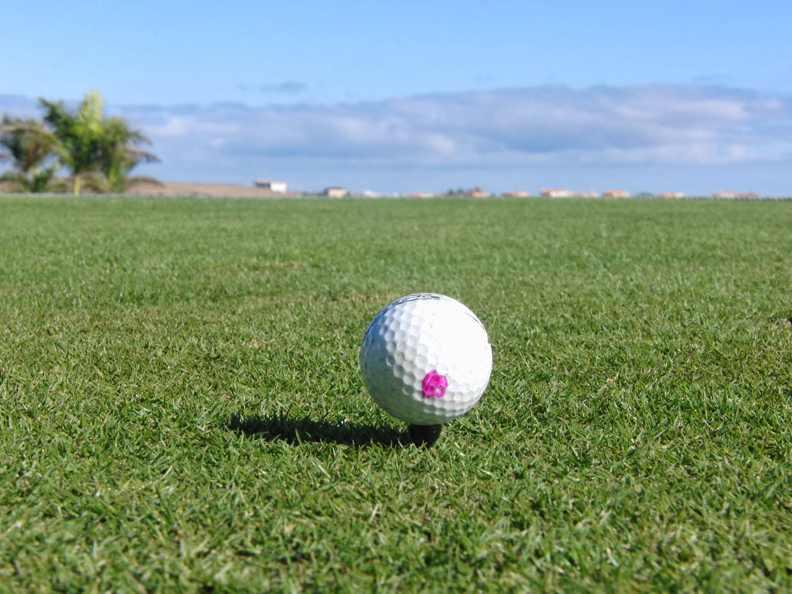 The Ball Flight Laws - Adam Young Golf