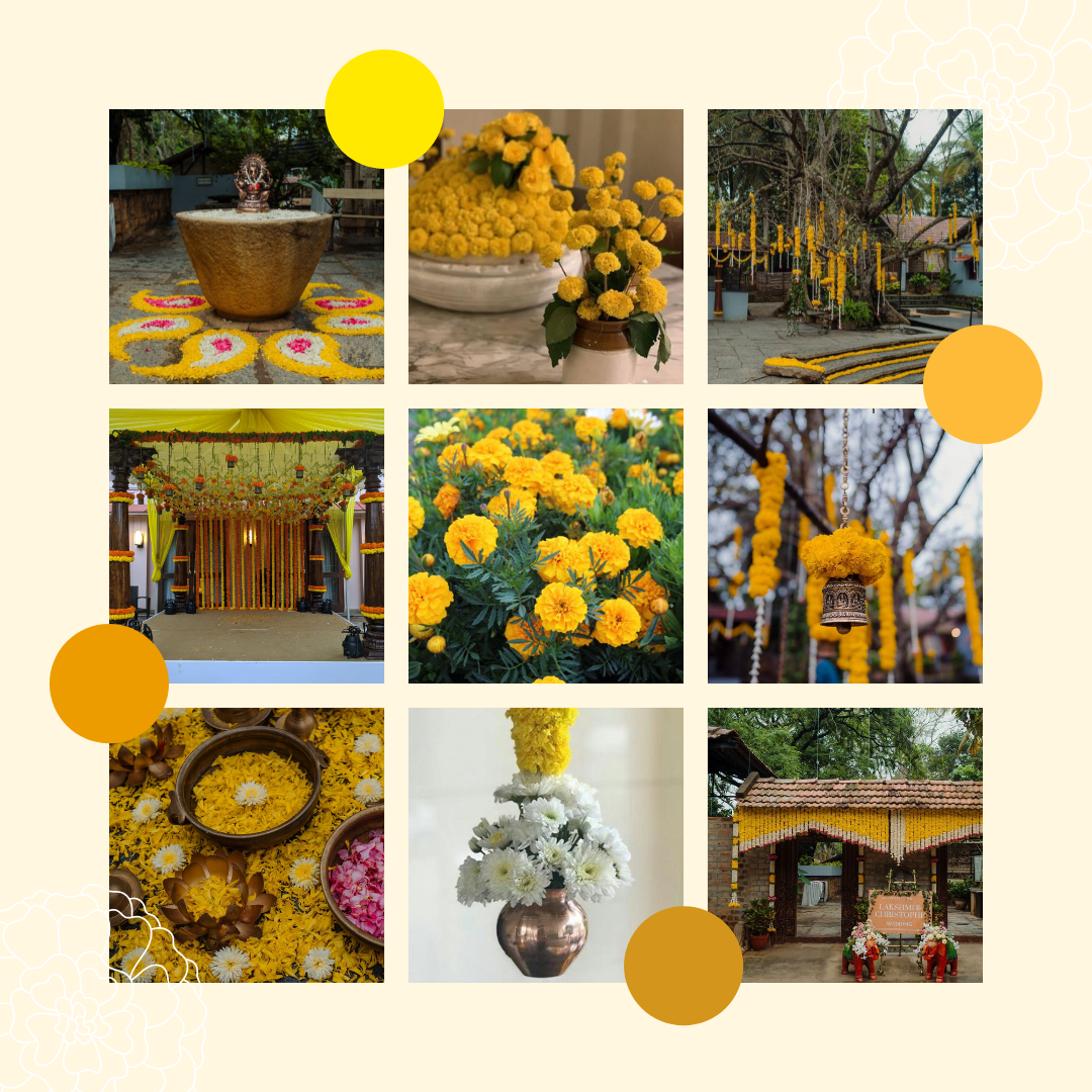 Haldi