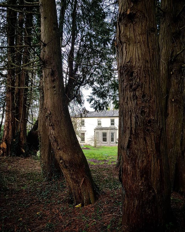 Home | Coolamber Garden Workshops