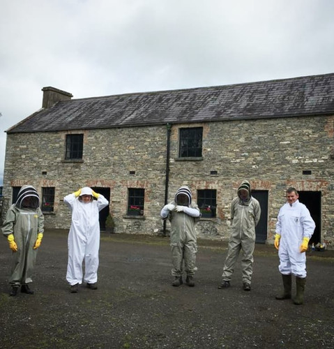 Hive Inspection and Maintenance | CoolamberGarden