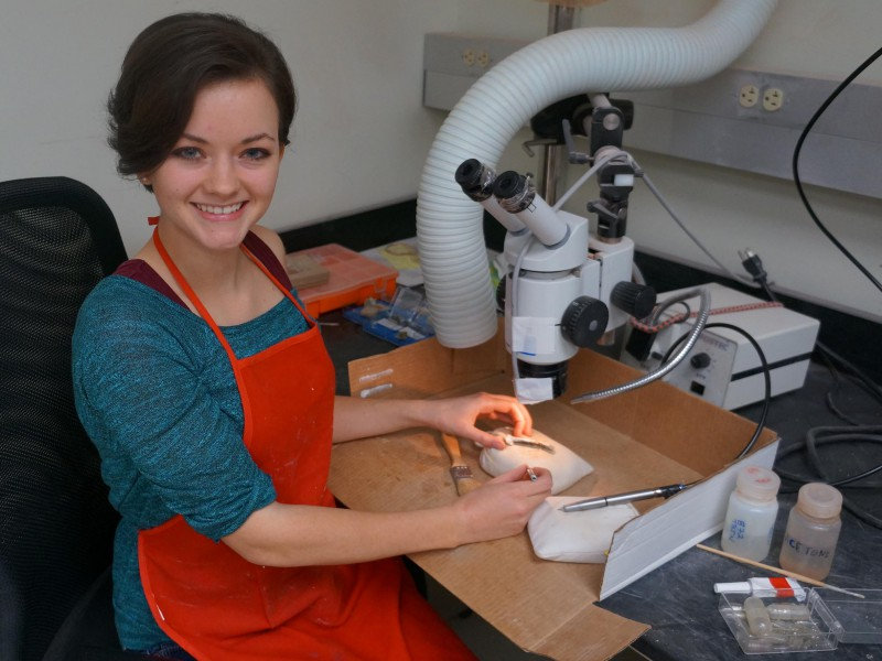 The story behind - why fossils are not for free?