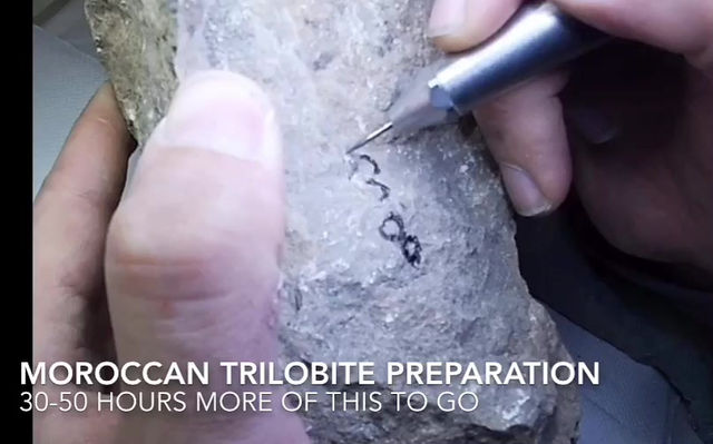Fossil-preparation basics: a short clip of 2 different preparation ...