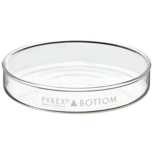 PYREX, 3160-150BO Culture Petri Dish Bottom Only, 150 x 15 mm | (주)파머I ...
