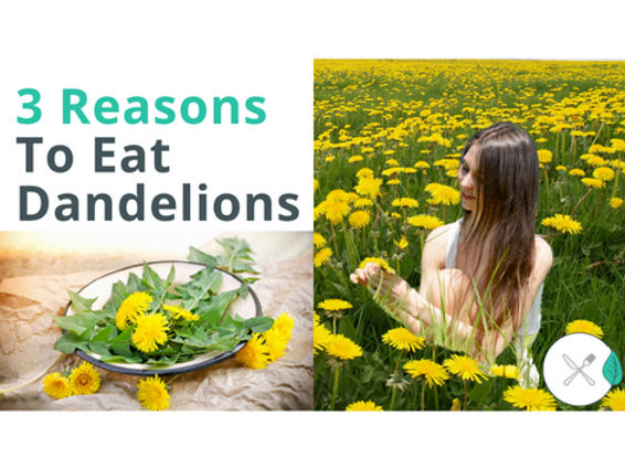 How Eating Dandelions Can Boost Your Gut Health