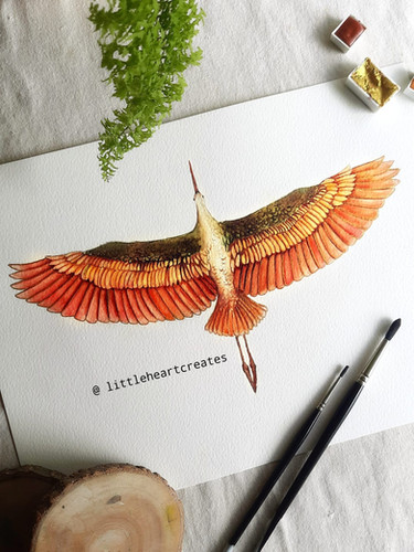 Free Bird | Artist | Illustrator