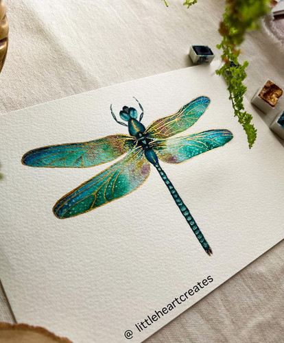 Bella | Artist | Illustrator