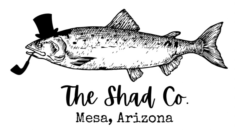 The Shad Co | bicycle service in mesa | 5135 East Ingram Street, Mesa ...