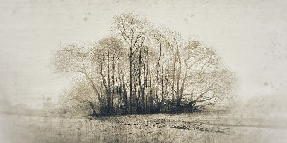 Landscapes and Domestic Settings | Sarah Coomer Draws