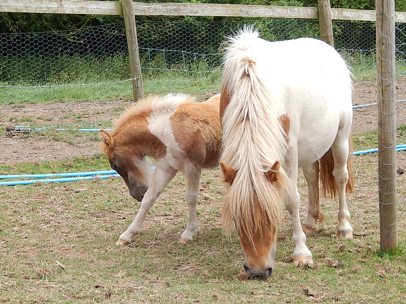 Lower Bush Farm, OCN Forest School Training