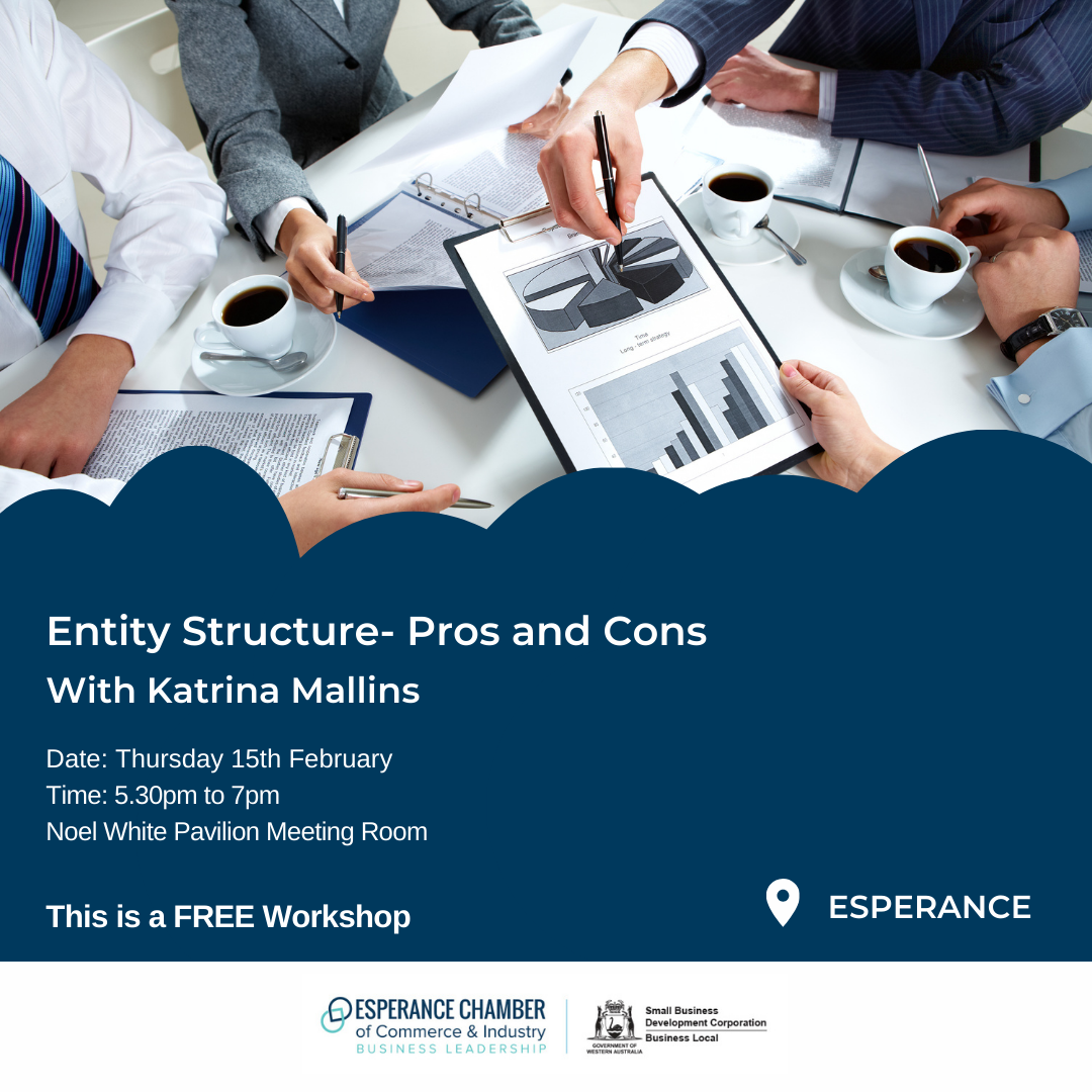 Business Local Workshop - Entity Structures - Pros and Cons | Esperancecci