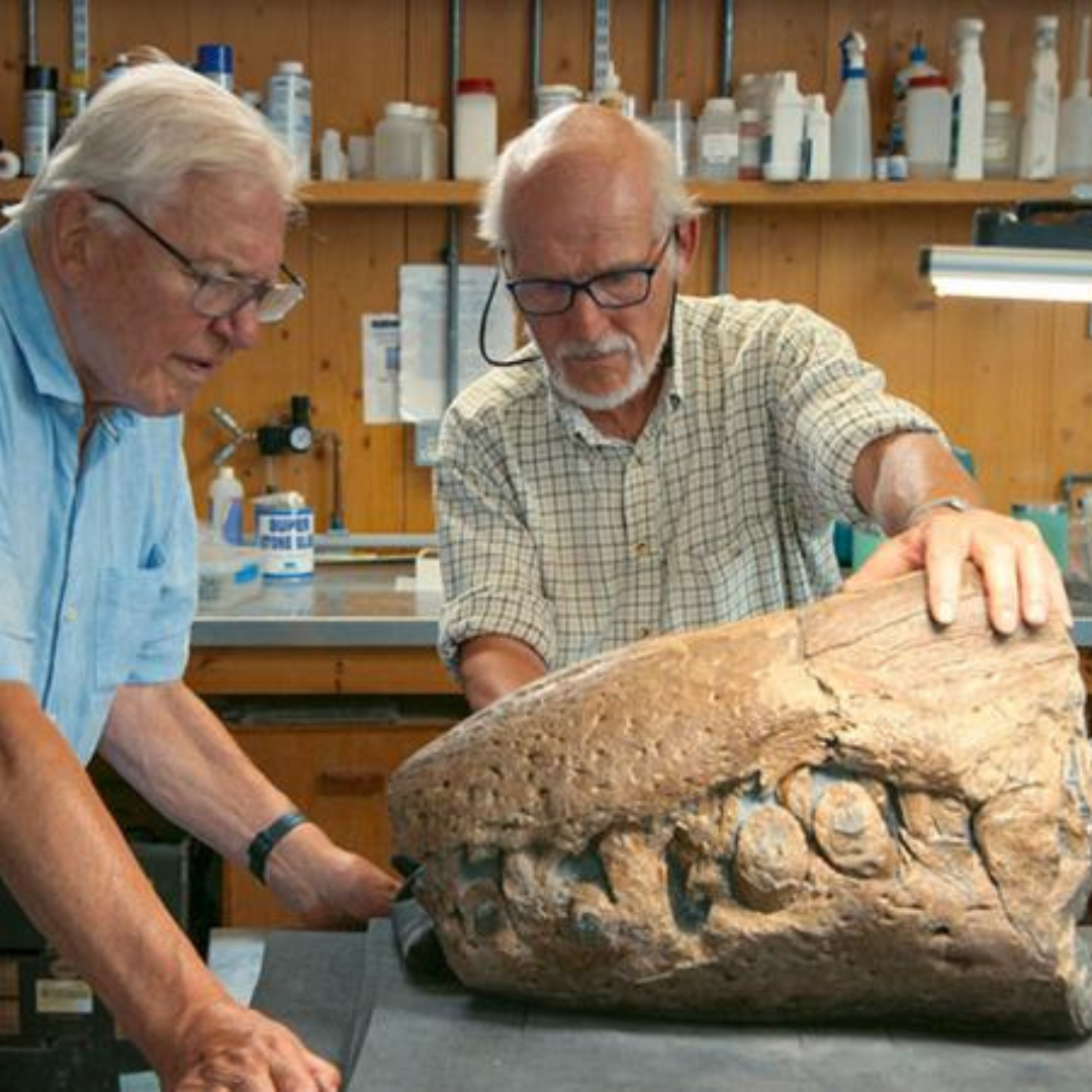 Pliosaur Sea Monster Enters Guinness World Records!