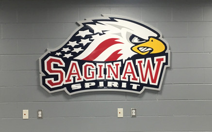 Higher Image, Saginaw's premier sign and wrap company