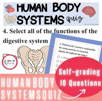 Human body systems quiz | A Gtt of Pretty