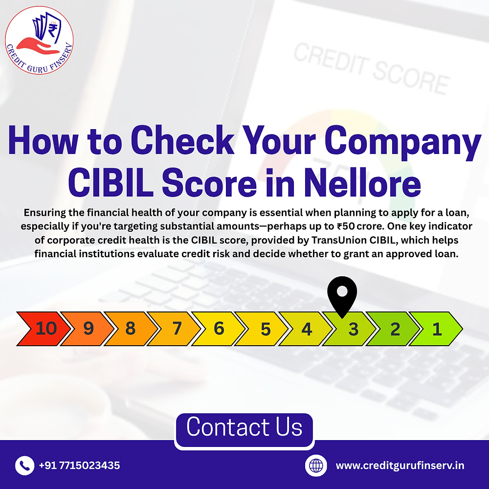 How to Check Your Company CIBIL Score in Nellore