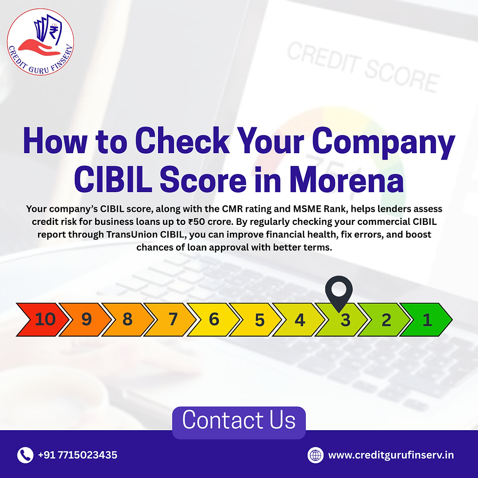 How to Check Your Company CIBIL Score in Morena
