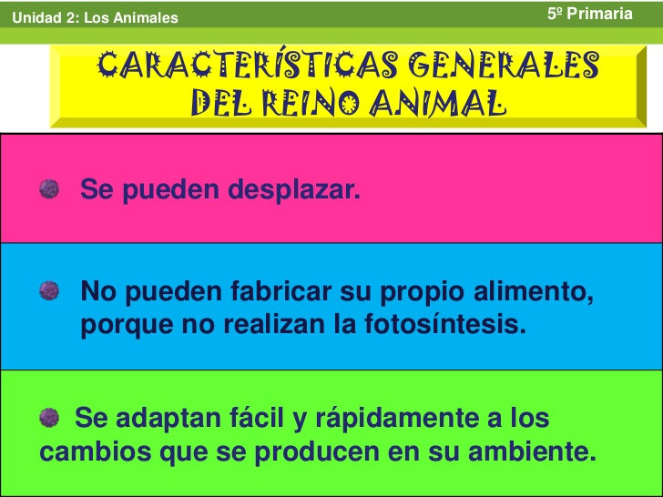 CARACTERÍSTICAS DE LOS ANIMALES