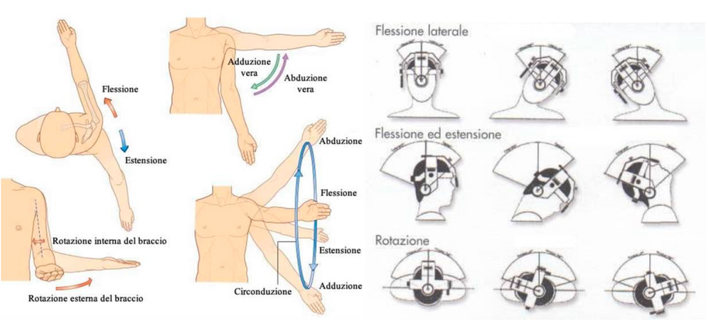 Le articolazioni: verso un approccio consapevole del movimento