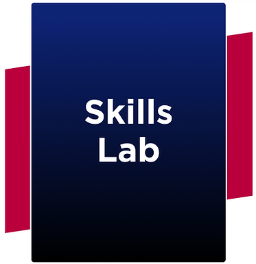 Harvard Skills Lab: Research Games for Measuring Soft Skills