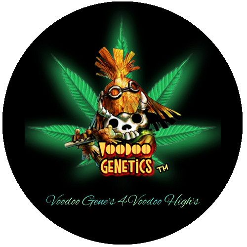 South African Cannabis Seeds | The CannaClub