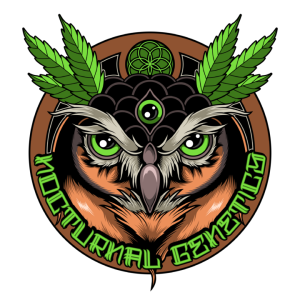 South African Cannabis Seeds | The CannaClub