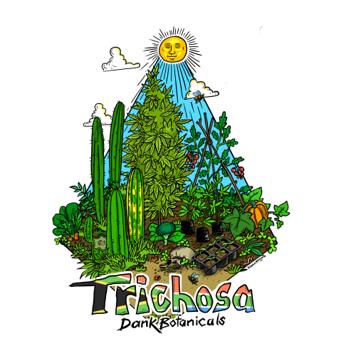 South African Cannabis Seeds | The CannaClub