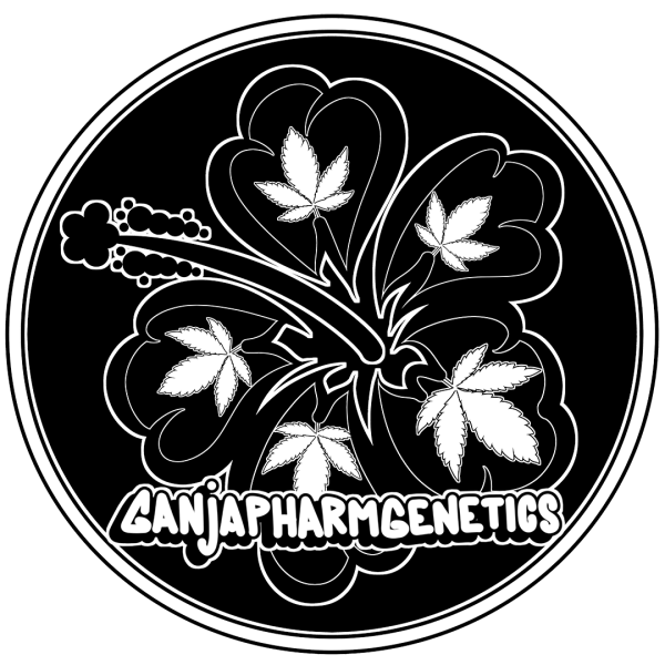 South African Cannabis Seeds | The CannaClub