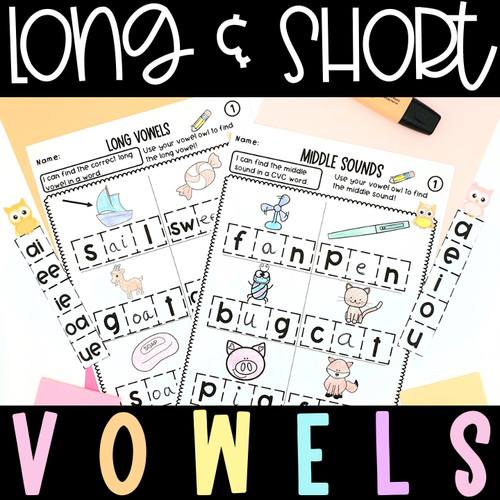 Middle Sounds Short Long Vowel Worksheets | Crayon Lane Teach