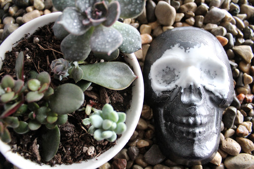 Skull: Classic Black/White Inverse | Glass | Stone | Poem