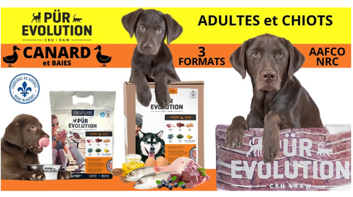 PÜR ÉVOLUTION Canard et baies - adulte et croissance | Élevage DeL'Archer'O