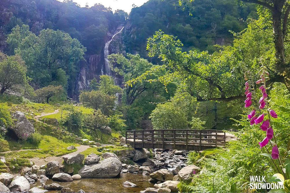 What attractions are near Snowdonia?