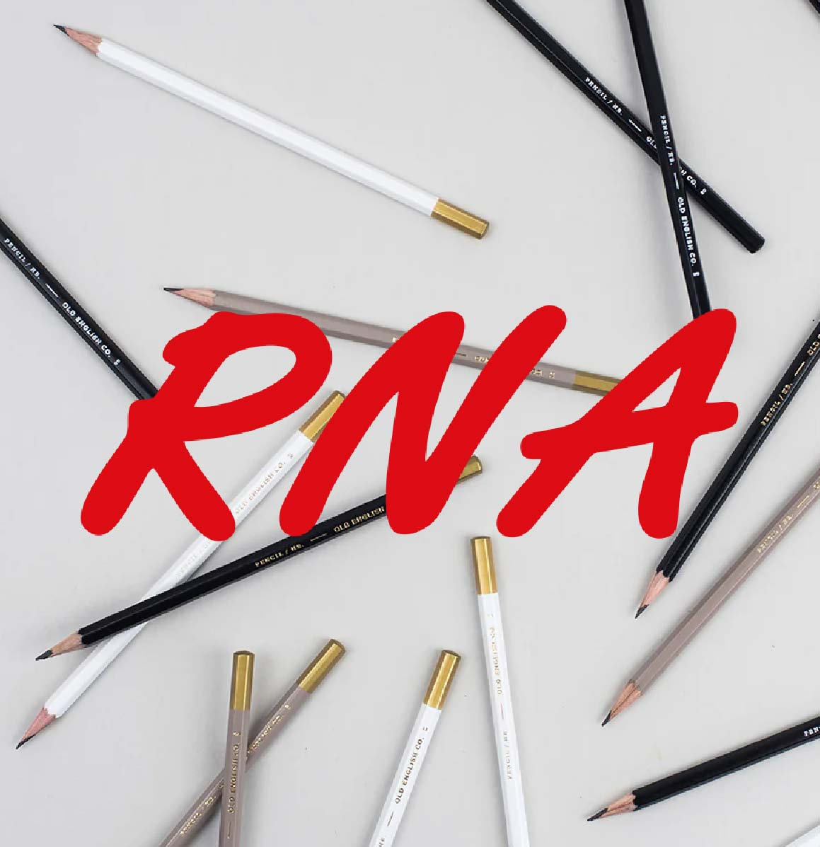 RNA STATIONERS | Blueberry Square