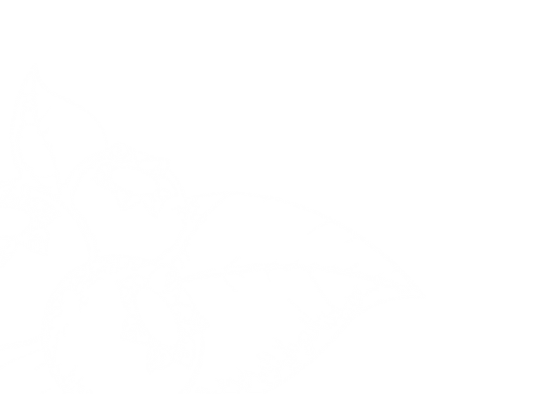 Home | Blueberry Square