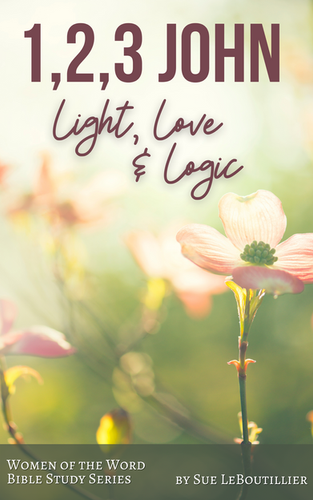 1, 2, 3 John • Light, Love and Logic | Life Bible Ministry